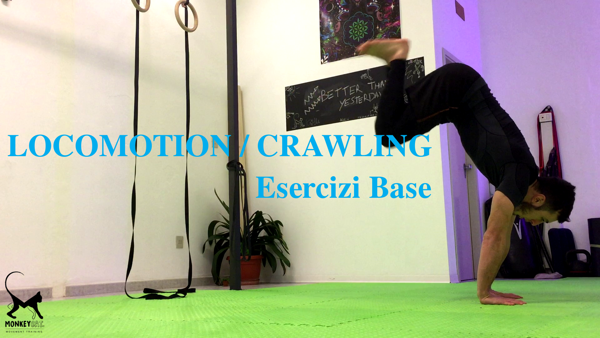 Movement Training Esercizi da Cui Iniziare (Locomotion/Crawling ...